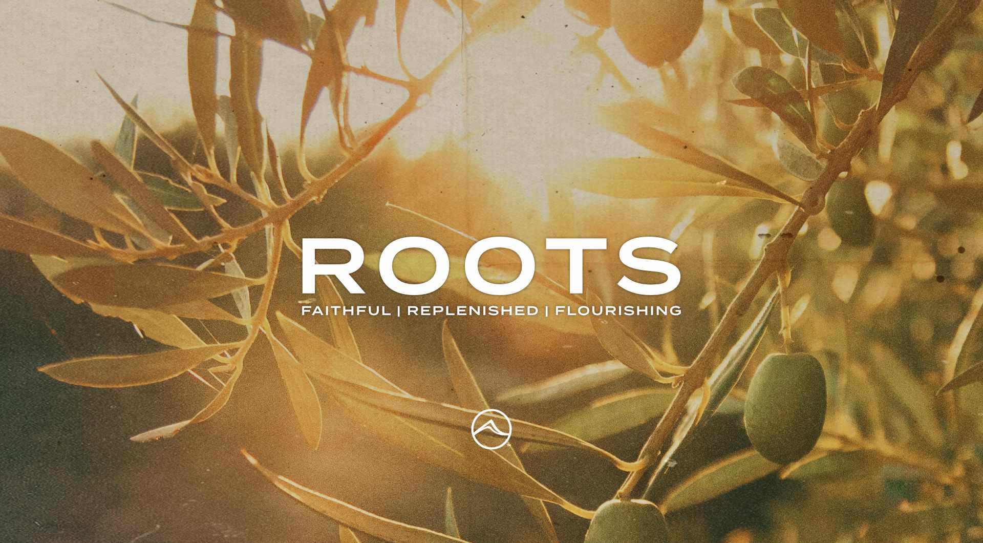 Our Team - Mountain Springs Church